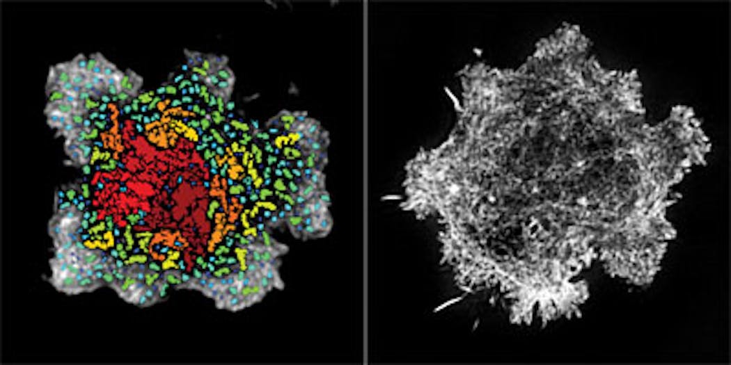CELL BIOLOGY/MICROSCOPY: Novel super-resolution microscopy approach ...