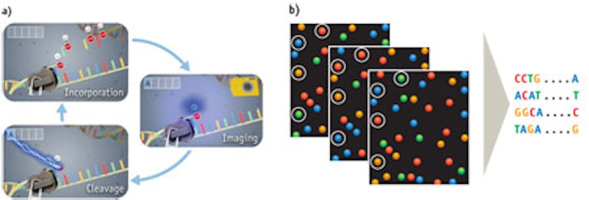 DNA SEQUENCING/BIOINSTRUMENTATION/GENOMICS: A high-performance, low ...