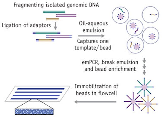 DNA SEQUENCING/BIOINSTRUMENTATION/GENOMICS: A high-performance, low ...