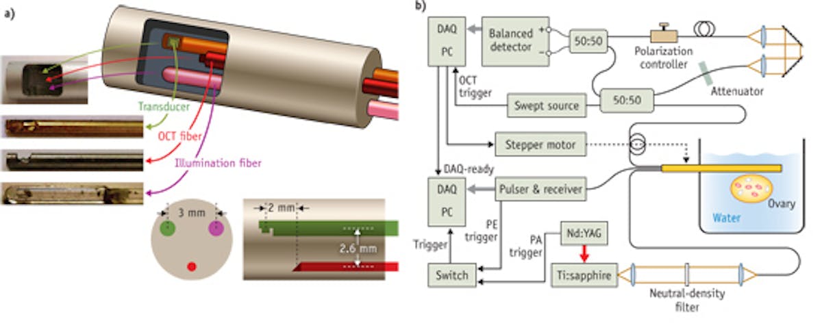 OPTICAL COHERENCE TOMOGRAPHY/BIOMEDICAL INSTRUMENTATION: Three-mode ...