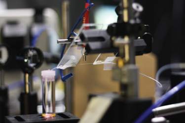 GENOMICS/BIOIMAGING: Liquid laser improves detectability of diseased ...