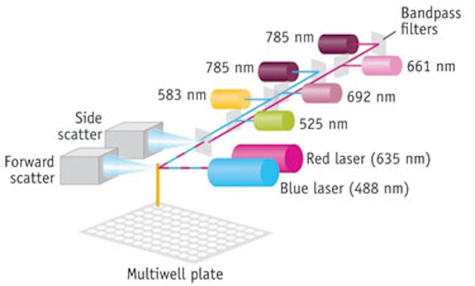 CELL ANALYSIS/FLOW CYTOMETRY: Flow cytometry: Instruments, components ...