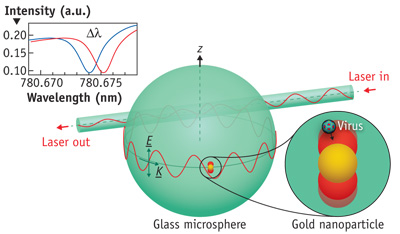 DISEASE DETECTION/NANOTECHNOLOGY: Optical fiber-based sensor IDs ...