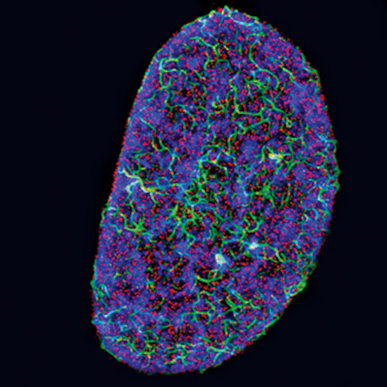 BIOPHOTONICS RESEARCH FUNDING: Flexible funding options for ...