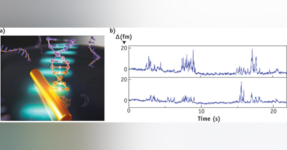 Single Molecule Detection Detecting Single Molecules Laser Focus World