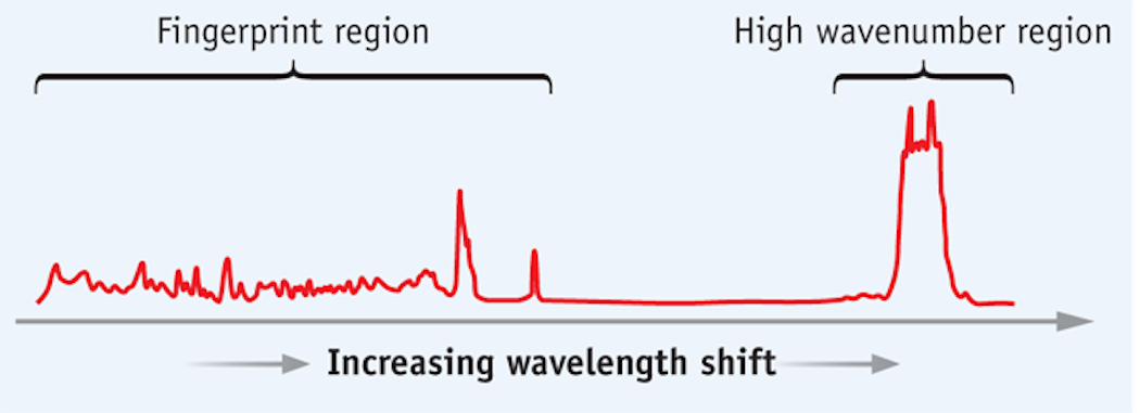 BIOSPECTROSCOPY/CARDIOLOGY: High-wavenumber Raman reveals composition ...