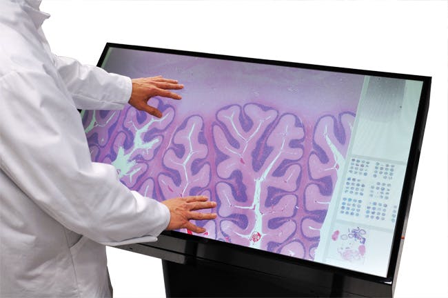 Gigantic touch-screen microscope enables collaborative research | Laser ...