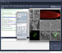 Automated microscope by Carl Zeiss Microscopy | Laser Focus World