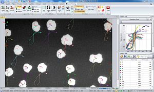 Image analysis software for life sciences by Media Cybernetics | Laser ...