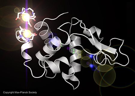 X-ray laser can solve protein structures from scratch | Laser Focus World