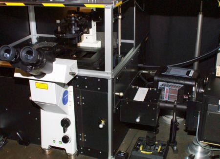 Microspectroscopy setup can track singlet oxygen in individual cells ...