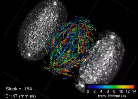Light microscopy technique images molecules in 3D quickly, with minimal ...