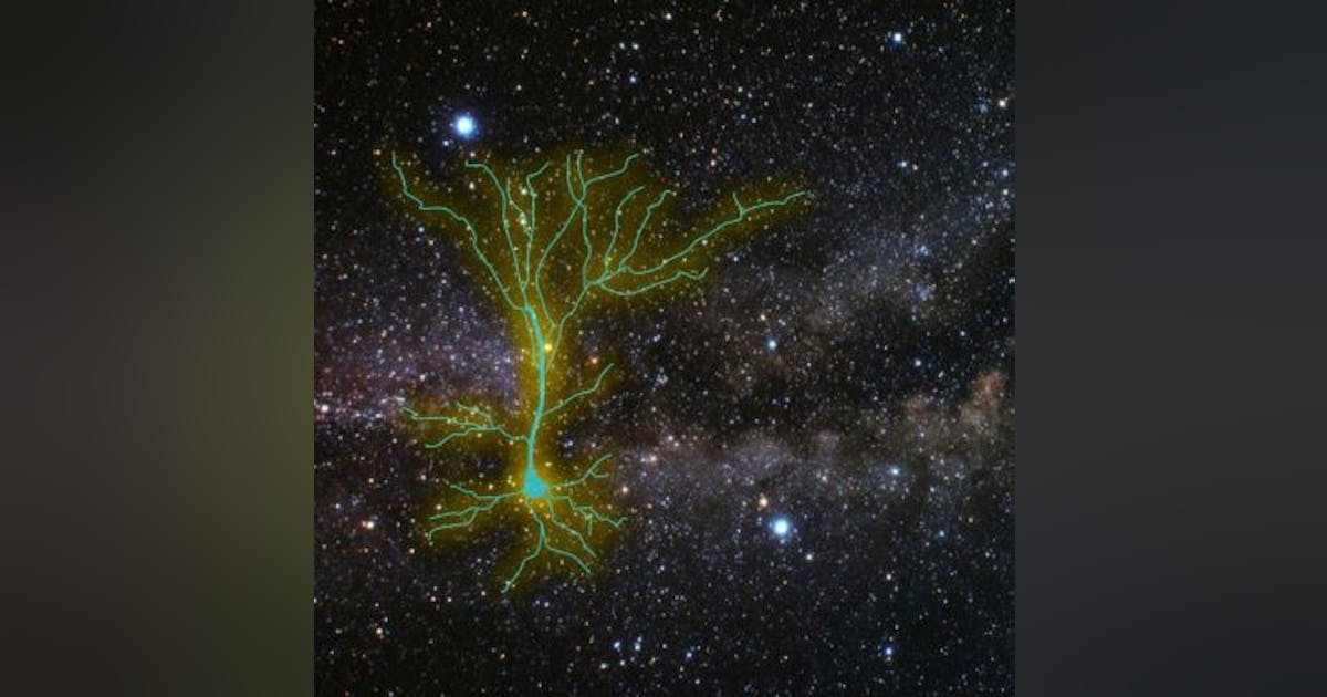 Optogenetics Finds What Regulates Synaptic Activity In The Neocortex