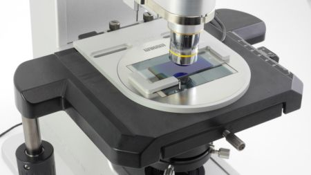 Cambridge IVF develops new protocols for light microscopy-based sperm ...