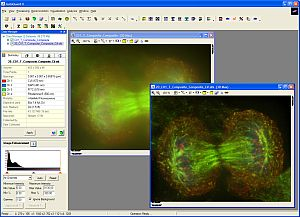 Media Cybernetics software for image deconvolution and 5D visualization ...
