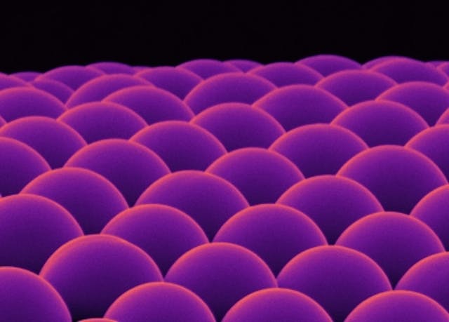 Solution-produced calcium carbonate microlens arrays are biocompatible | Laser Focus World