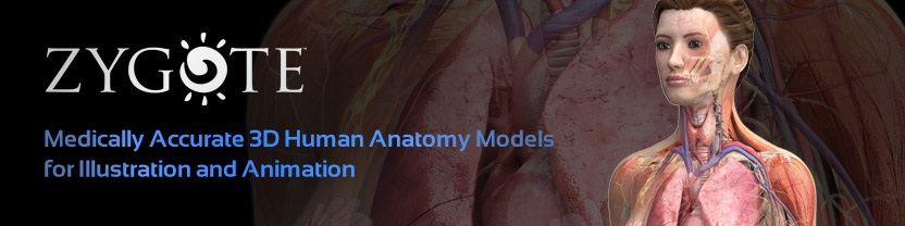 Zebra Imaging and Zygote partner on 3D biomedical visualization | Laser ...