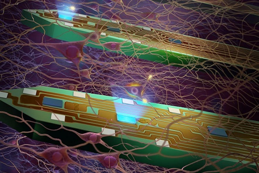 Smallest implantable LEDs help understanding of individual neuron ...
