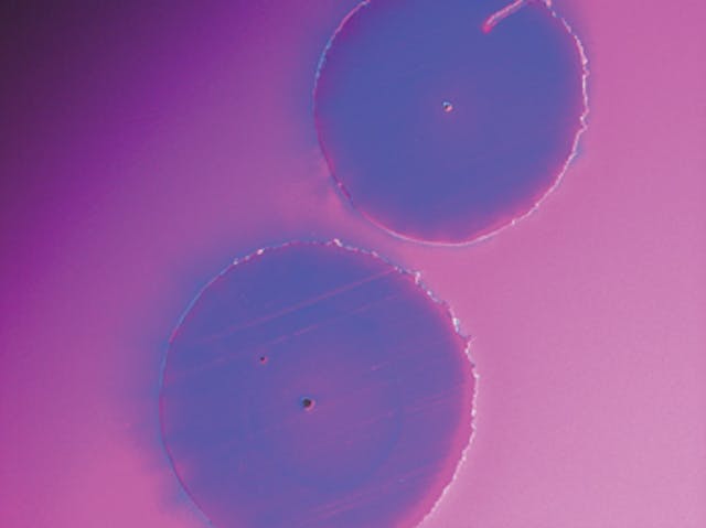 Advances in Optics: Observed defects reliably determine laser-damage ...