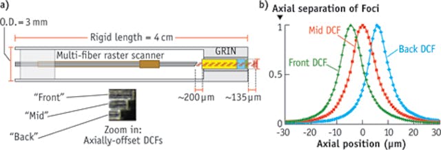 CLINICAL ENDOSCOPY/MULTIPHOTON IMAGING/FIBER OPTICS: Multiphoton ...