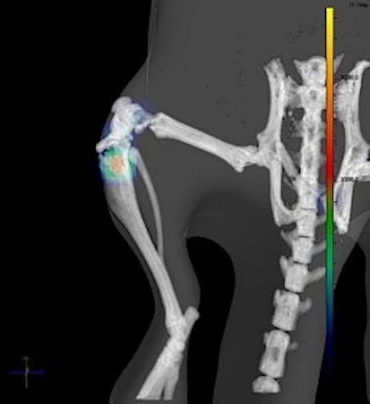 Toolkit from Caliper Life Sciences for co-registration of images from ...