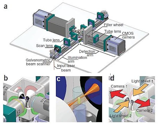 sCMOS camera powers light-sheet microscopy techniques | Laser Focus World