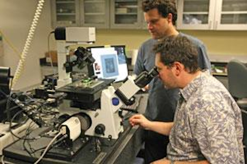 BioOptics BreakthRoughs | Laser Focus World