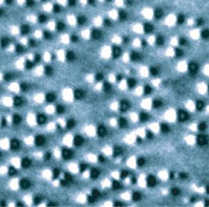 BioOptics Breakthroughs | Laser Focus World