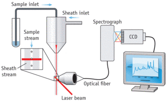 Raman makes flow cytometry flexible | Laser Focus World