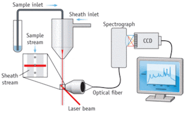 Raman makes flow cytometry flexible | Laser Focus World