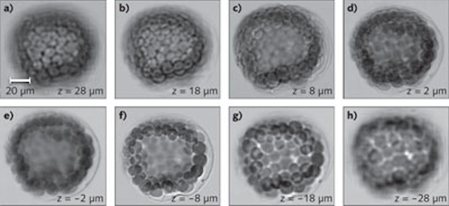 MICROSCOPY: Programmable LED array makes microscopes more versatile ...