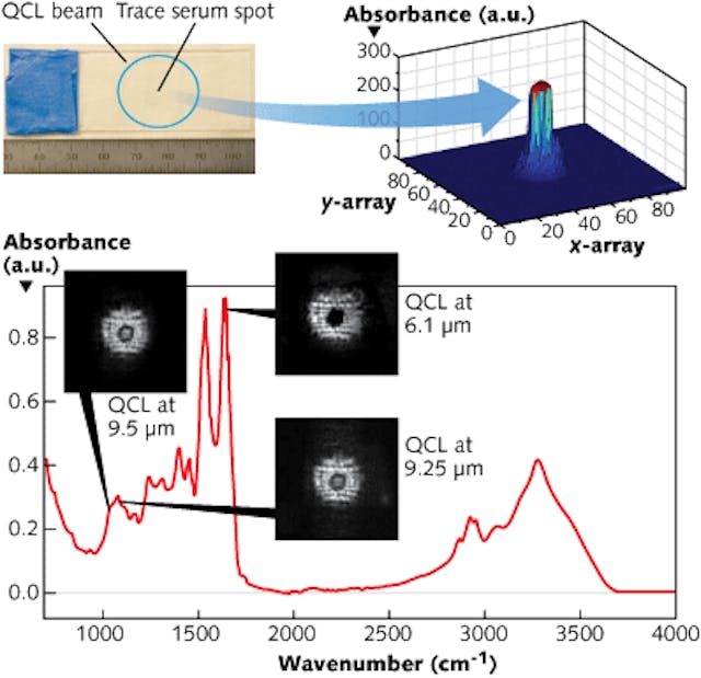 MOLECULAR IMAGING: QCLs enable mid-IR spectral image-based molecular ...