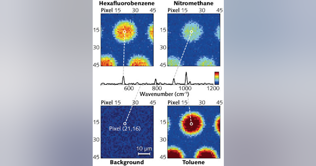 Molecular Imaging Frequency Comb Based Raman Spectroscopy Identifies