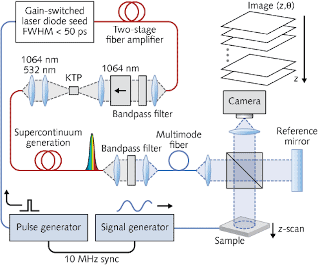 Surface acoustic waves profiled by stroboscopic white-light ...