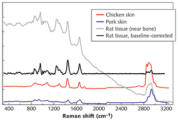 Raman Spectroscopy: Multi-wavelength excitation in Raman spectroscopy ...