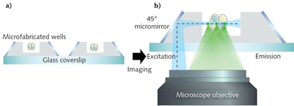 3d Microscopy Single Objective Spim Simplifies Super Resolution 3d Cell Imaging Laser Focus World