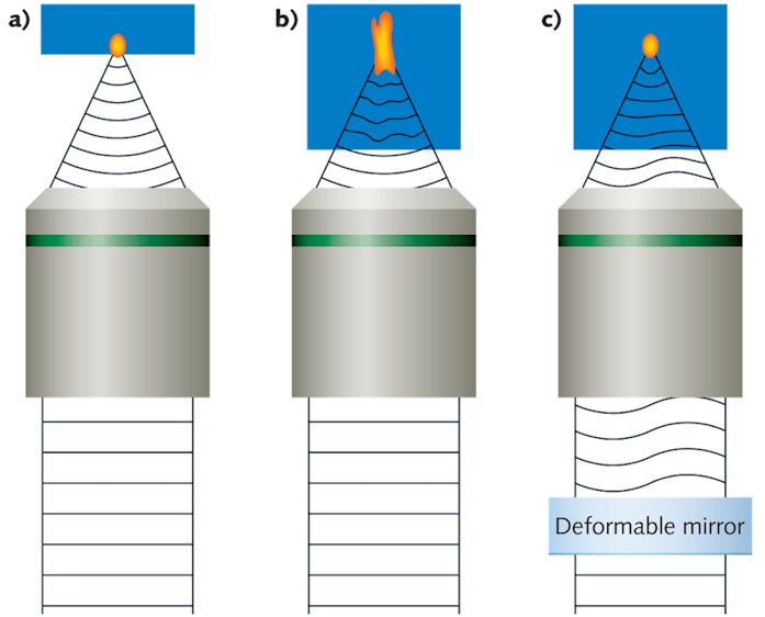 MICROSCOPY IMAGING: Adaptive optics sharpens biological microscopy ...