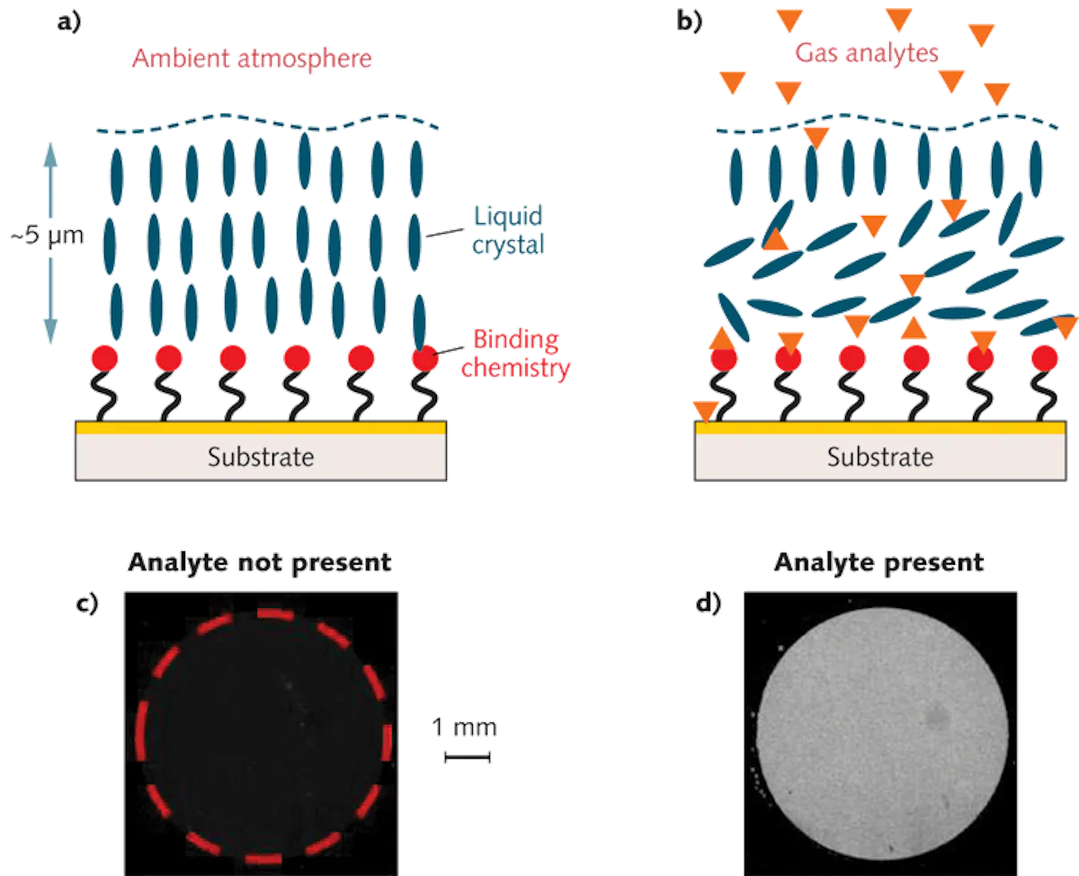 NEXT-GENERATION DETECTORS: Nematic liquid crystals move into sensing ...