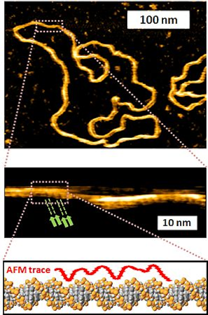 Atomic force microscopy captures first images of DNA's double helix in ...
