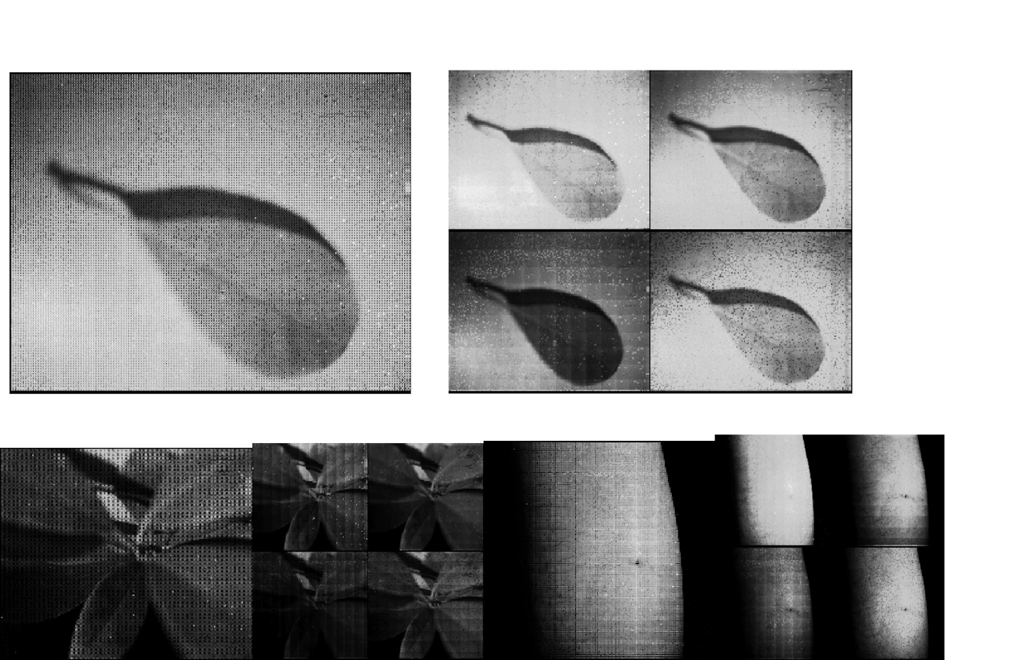 MULTISPECTRAL IMAGING: CMOS imager with mosaic filter detects skin ...