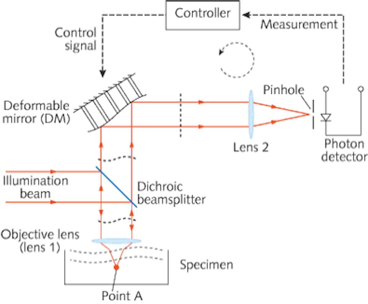 ADAPTIVE OPTICS: New algorithm improves AO systems without wavefront ...