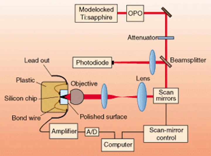 MICROSCOPY: New techniques expand multiphoton imaging | Laser Focus World