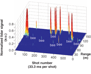 Lidar sees bees finding land mines | Laser Focus World