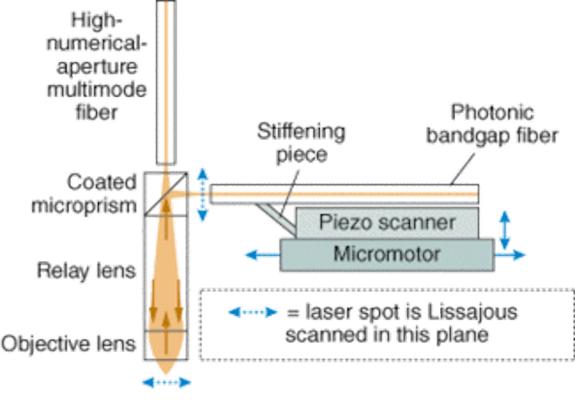 Two-photon fluorescence microendoscopy aids cellular research | Laser ...