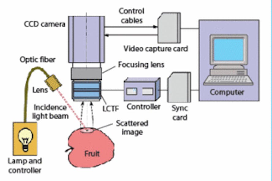 Multispectral scattering measures fruit texture | Laser Focus World