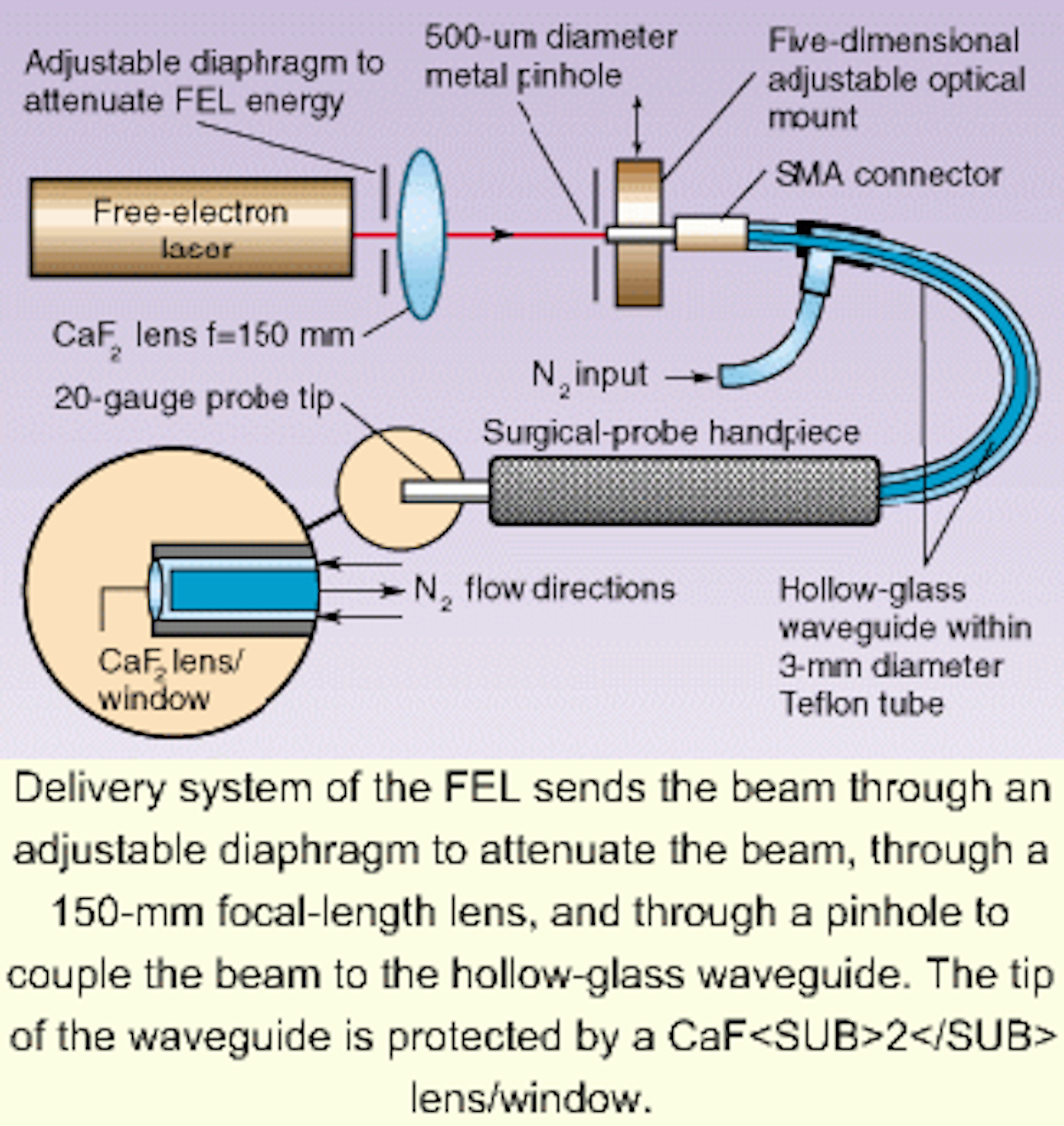 Eye surgery application demonstrated with FEL | Laser Focus World