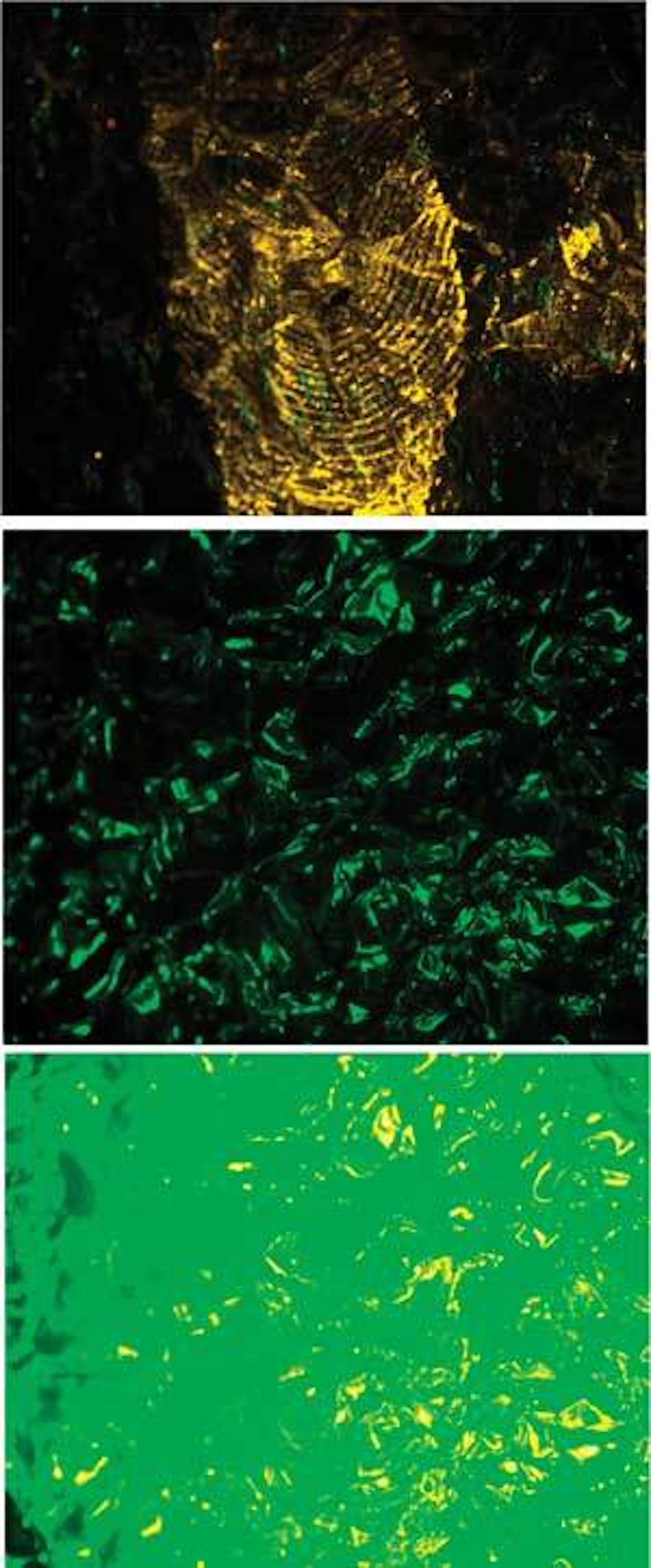 SEMICONDUCTOR LASERS: Optically pumped semiconductor lasers expand the ...