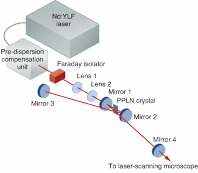 NONLINEAR OPTICAL MICROSCOPY: Ultrafast SPOPO enables deeper tissue ...