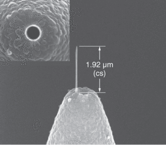 Near-field imaging probes electromagnetic waves | Laser Focus World