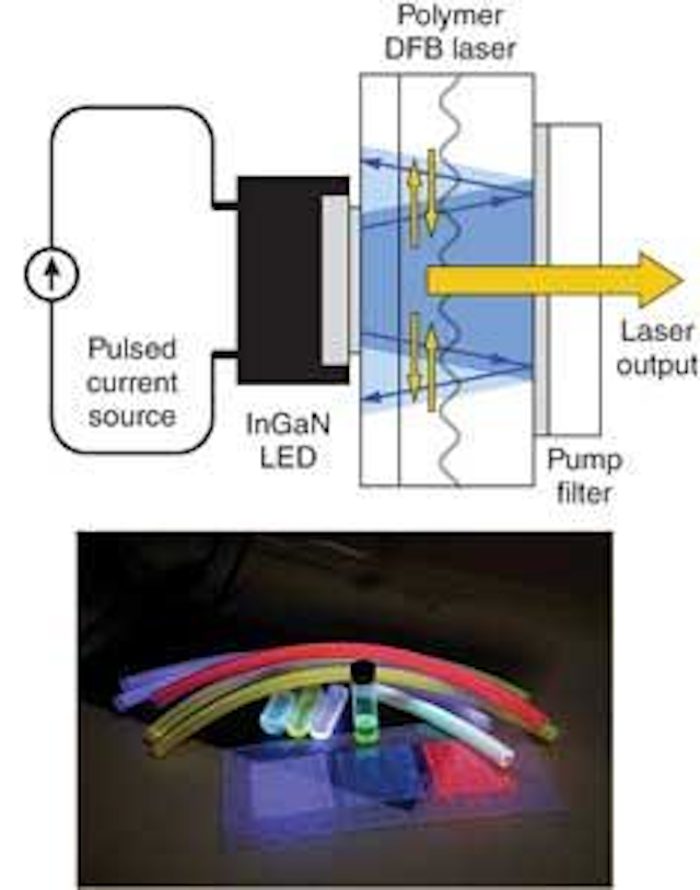 ORGANIC LASERS: LED pumps polymer laser | Laser Focus World